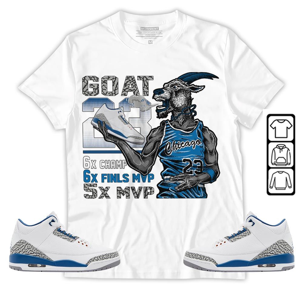 Jordan 3 Wizards 3s - Fanzint